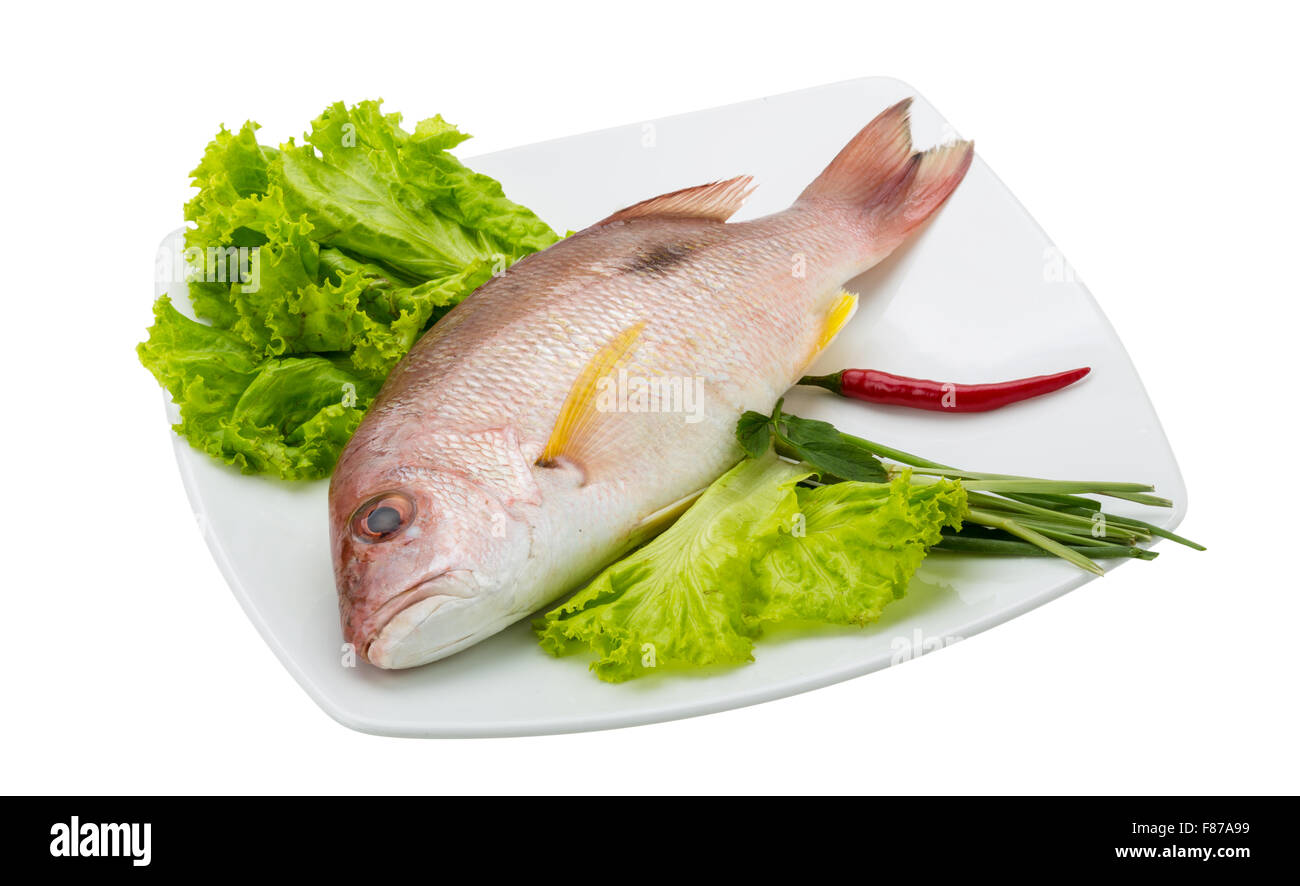 Raw red snapper with salad leaves Stock Photo - Alamy