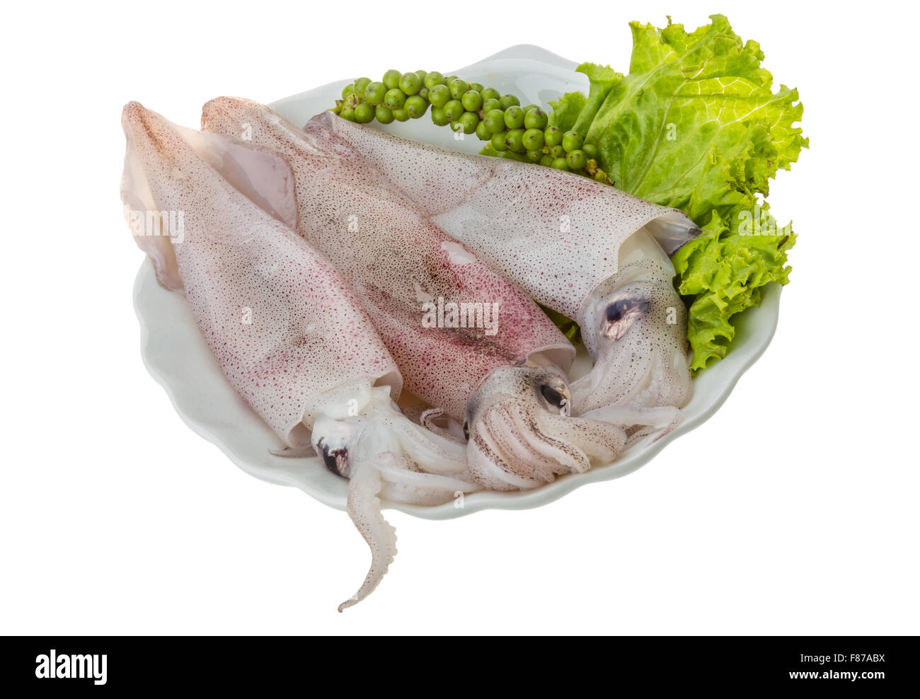 Raw calamari isolated on white background Stock Photo - Alamy