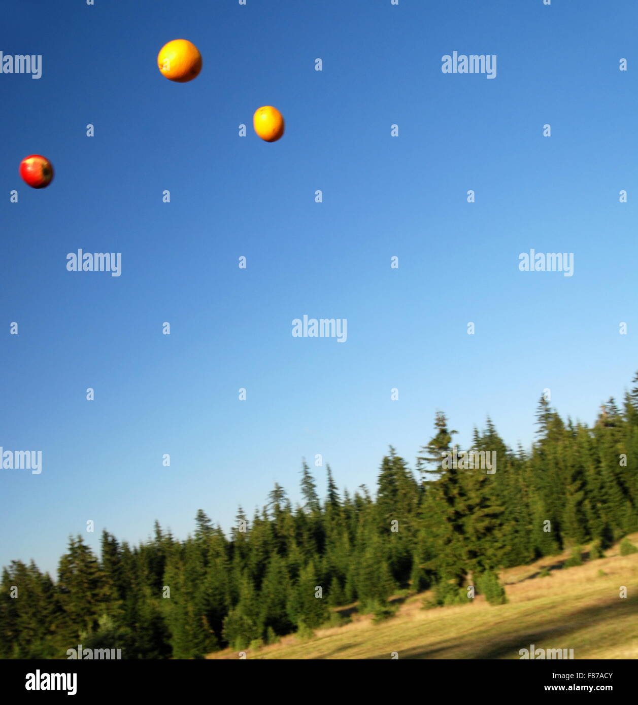 falling fruits in nature Stock Photo - Alamy