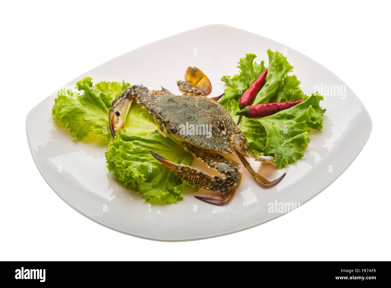 Raw crab ready for cooking Stock Photo - Alamy