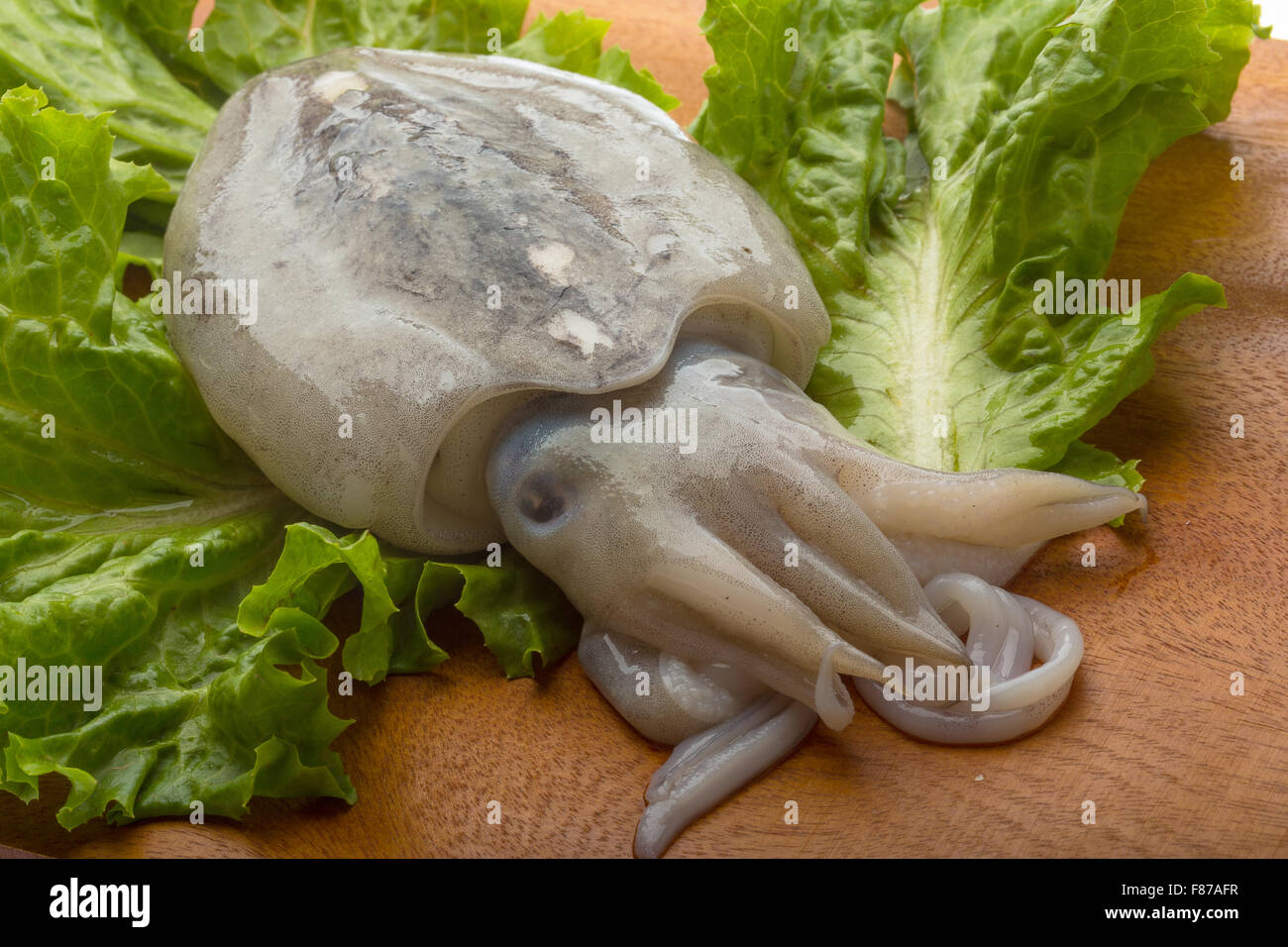 Raw cuttlefish ready for cooking Stock Photo - Alamy