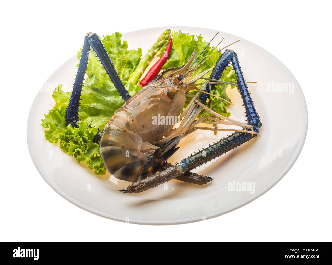 Big Freshwater prawn ready for cooking Stock Photo - Alamy