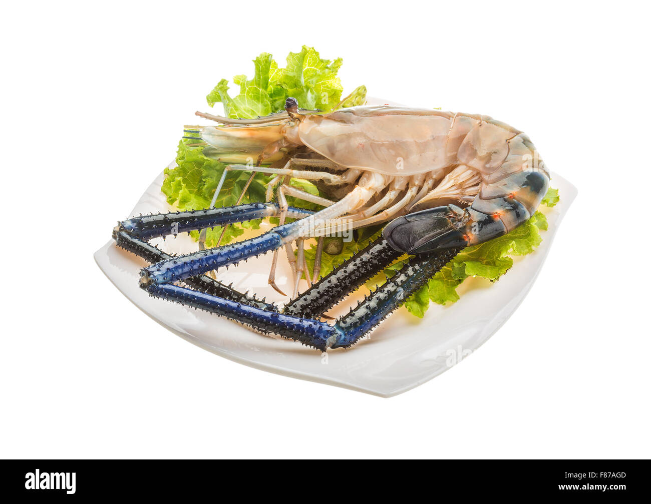 Big Freshwater prawn ready for cooking Stock Photo - Alamy