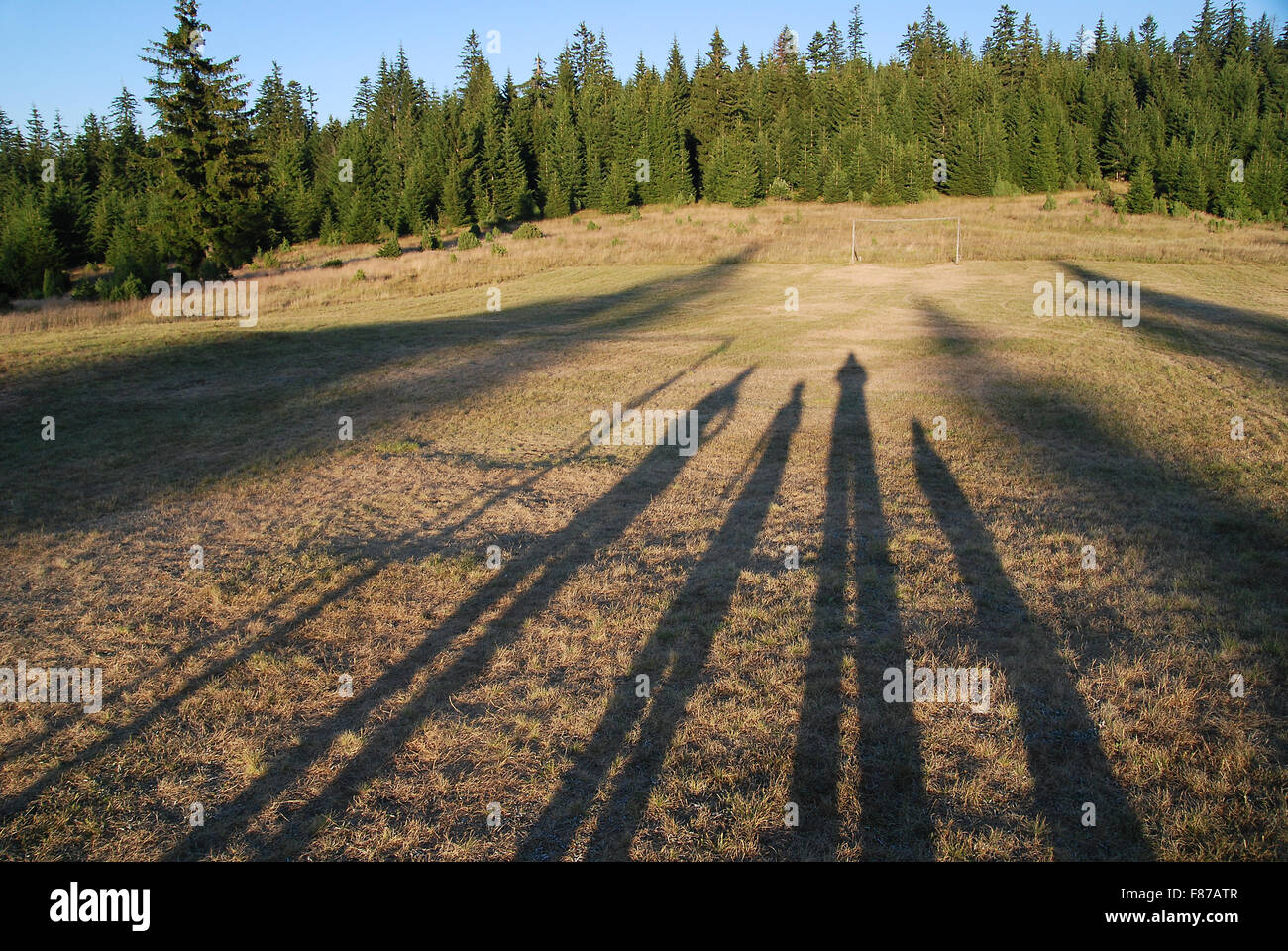 family chain concpet with four shadows in field Stock Photo - Alamy