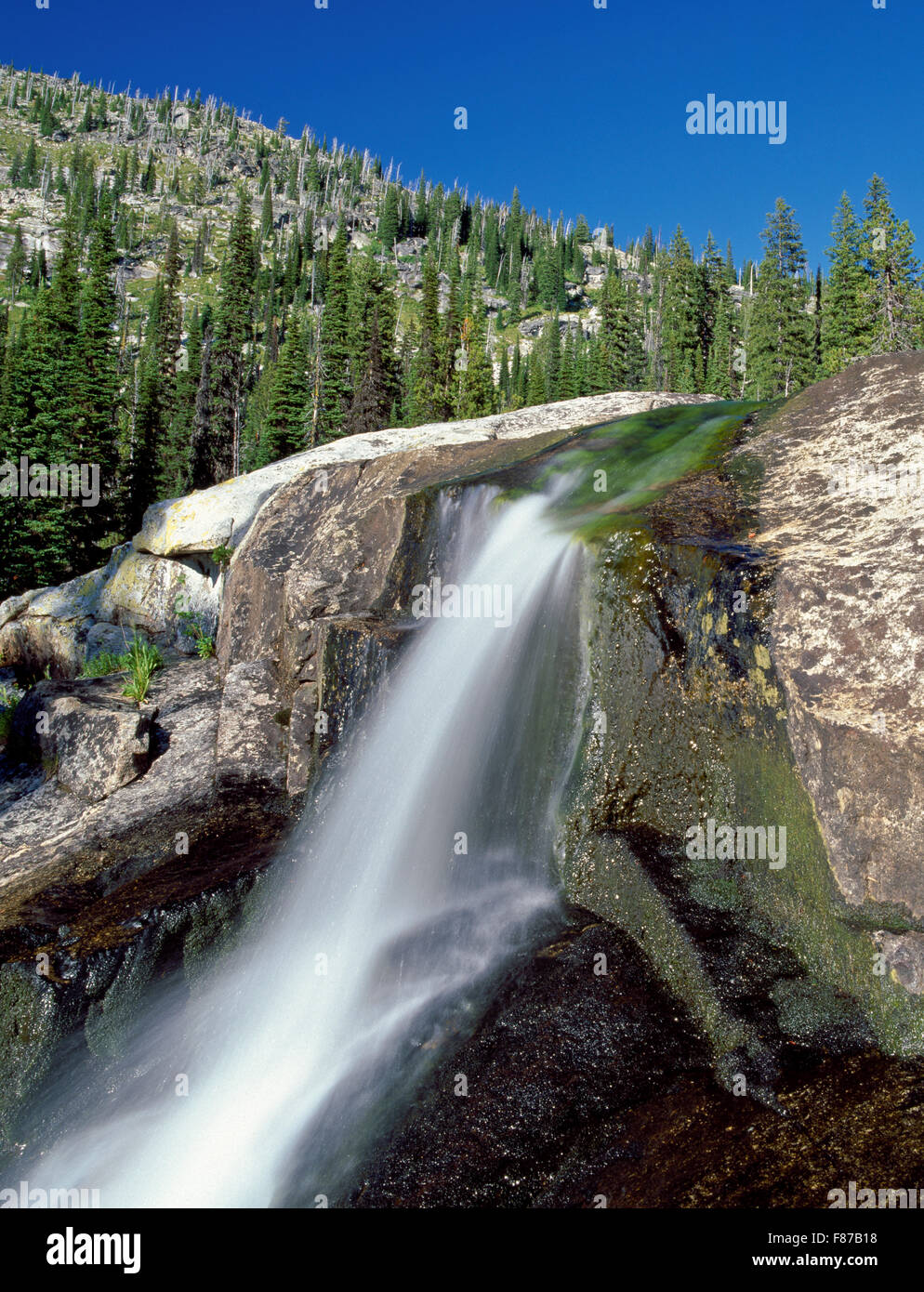 Selway bitterroot wilderness hi-res stock photography and images - Alamy