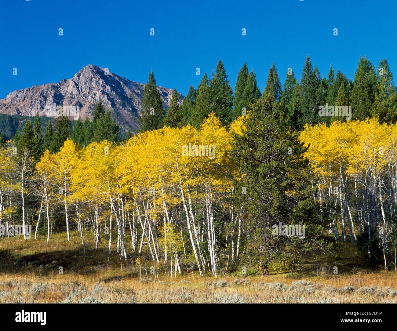 Red rock pass idaho hi-res stock photography and images - Alamy