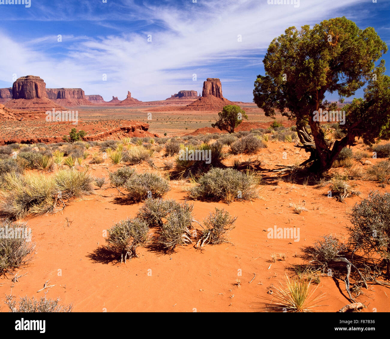 monument valley in the navajo tribal park near kayenta, arizona Stock ...