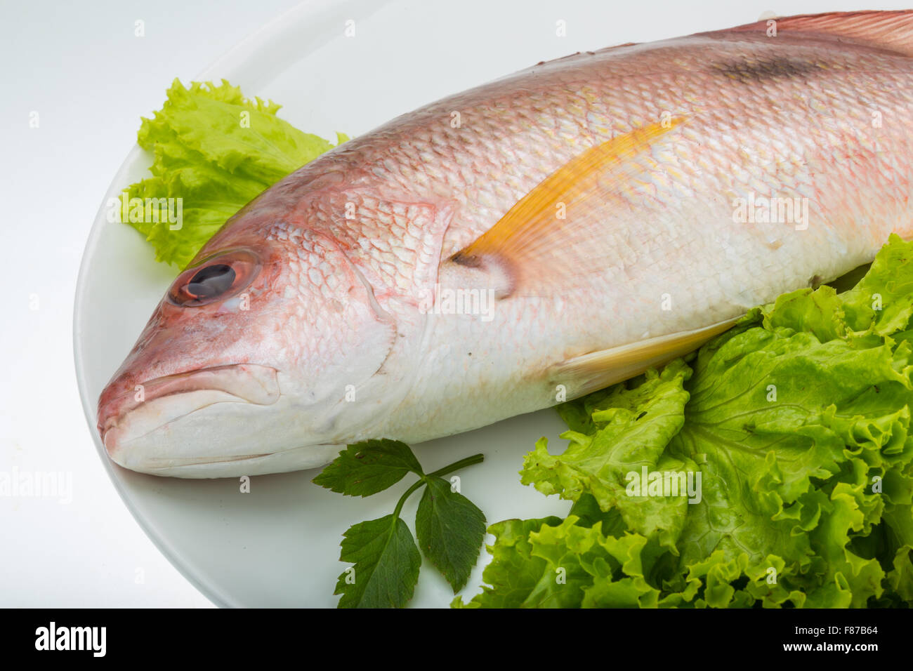 Raw red snapper with salad leaves Stock Photo - Alamy