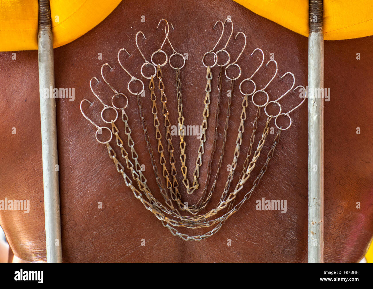 Hindu Devotee In Thaipusam Religious Festival In Batu Caves With His ...