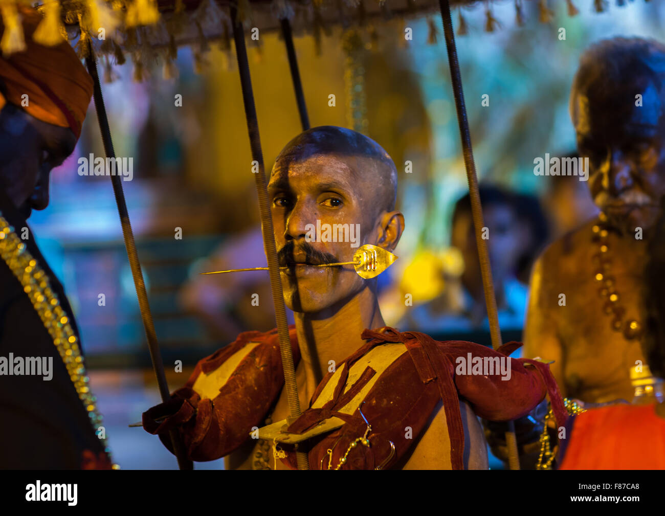 Devotee Kavadi Bearer With Tongue Piercing At Thaipusam Hindu Religious ...