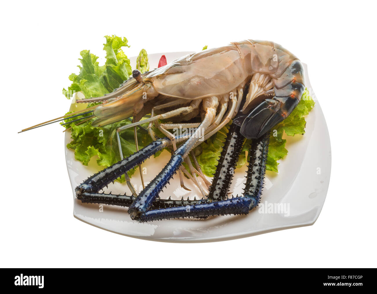 Big Freshwater prawn ready for cooking Stock Photo - Alamy