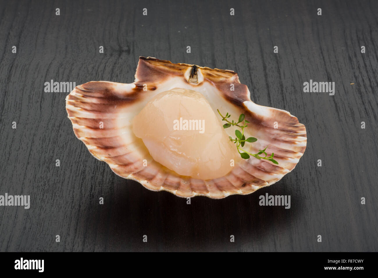 Raw scallops in the shell Stock Photo - Alamy