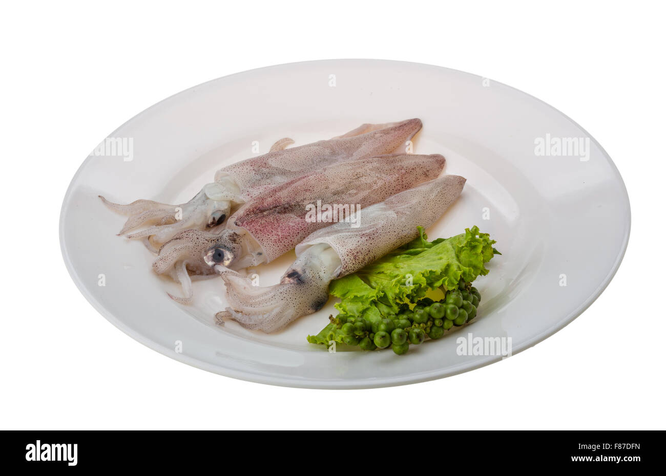 Raw calamari isolated on white background Stock Photo - Alamy