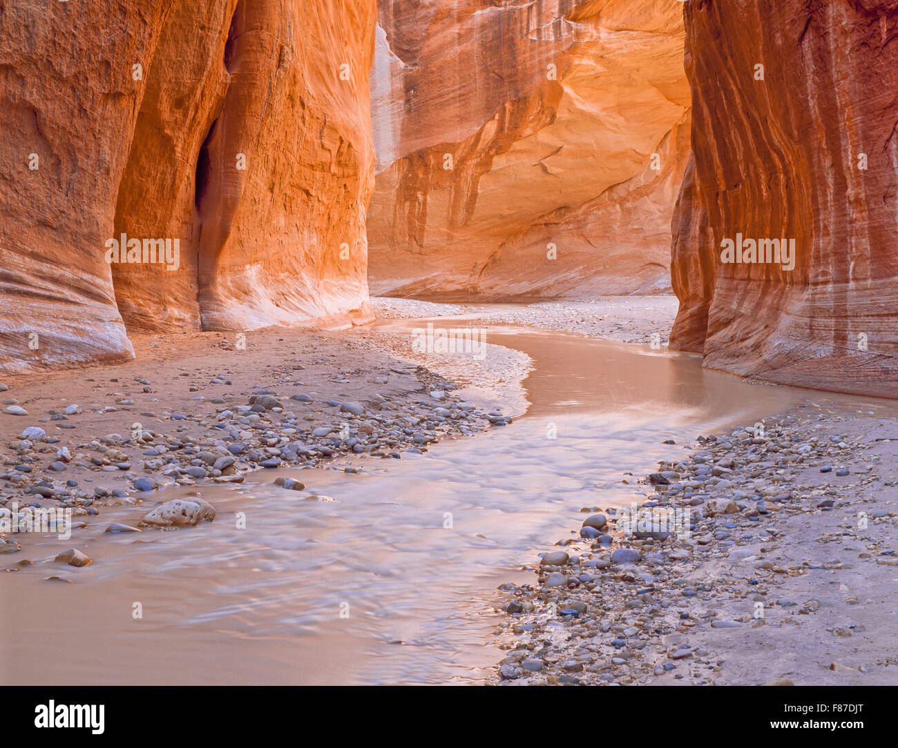 paria river narrows in the paria canyon-vermillion cliffs wilderness ...