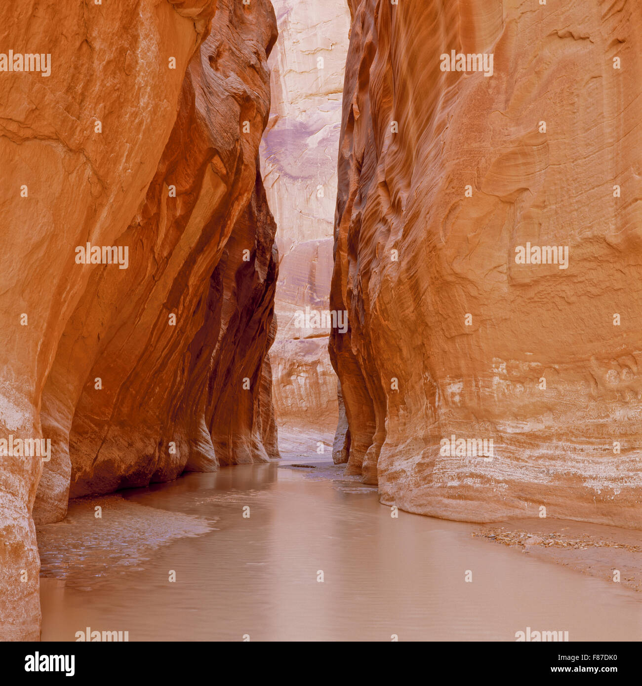 paria river narrows in the paria canyon-vermillion cliffs wilderness ...