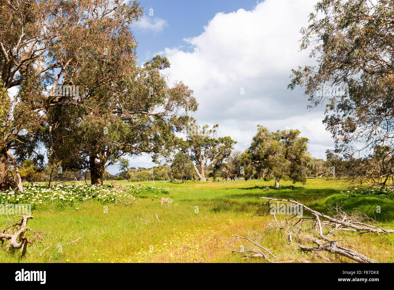 Australian farmland hi-res stock photography and images - Alamy