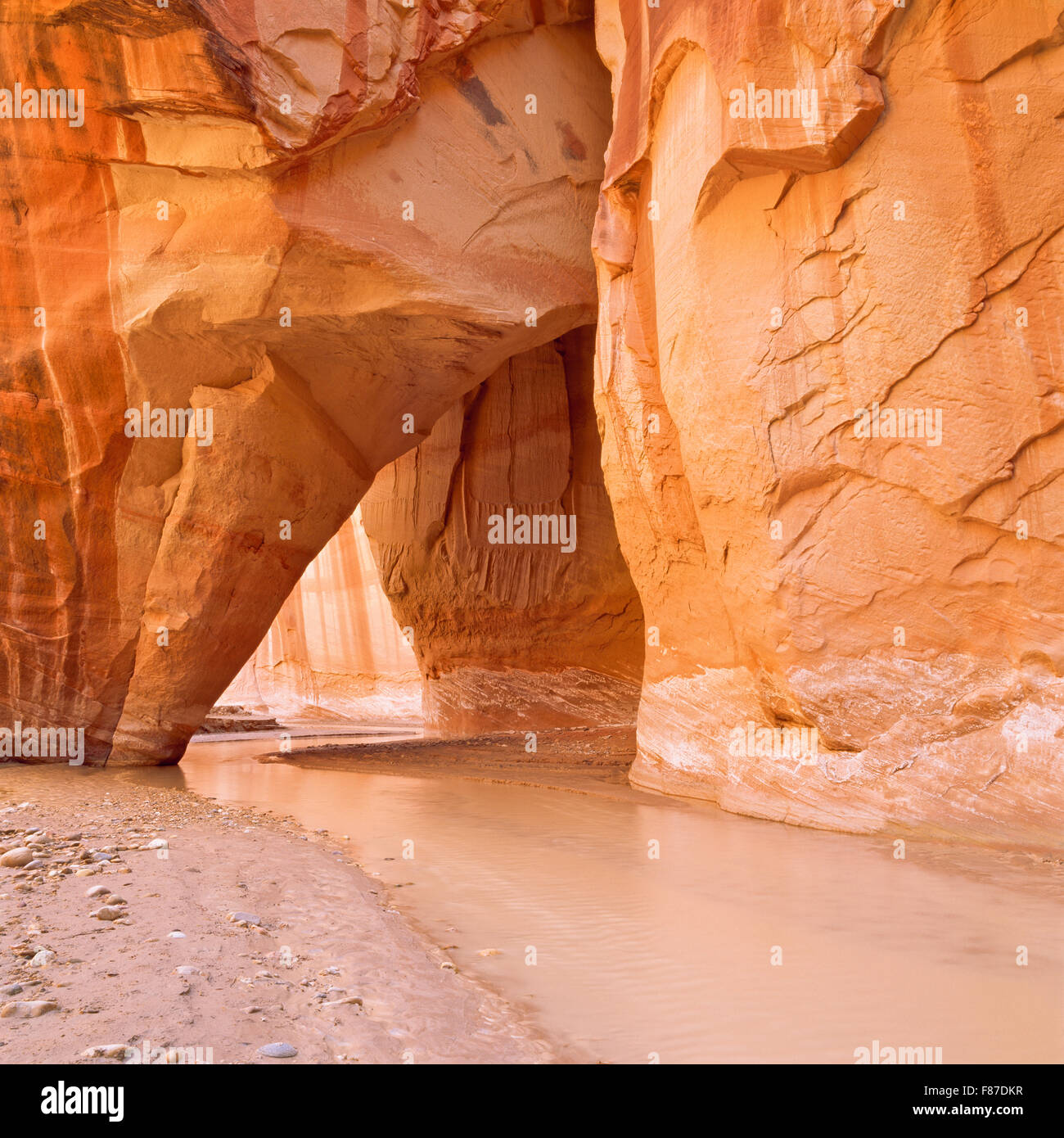 Kanab River Kanab, Utah! Your Hub For Adventure, Exploration, And