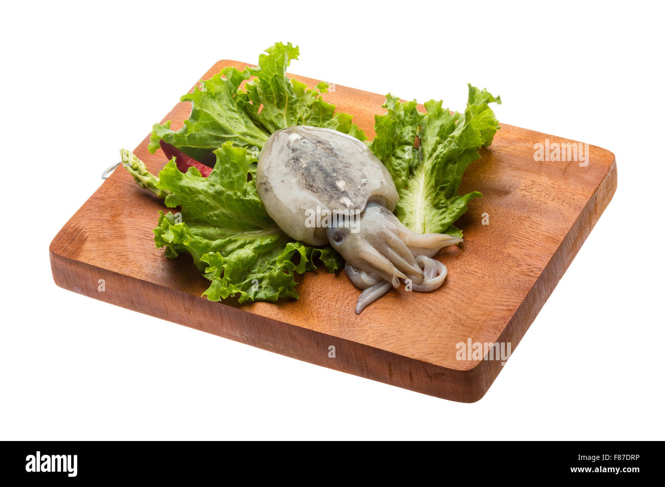 Raw cuttlefish ready for cooking Stock Photo - Alamy