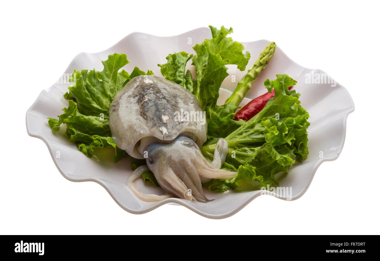 Raw cuttlefish ready for cooking Stock Photo - Alamy
