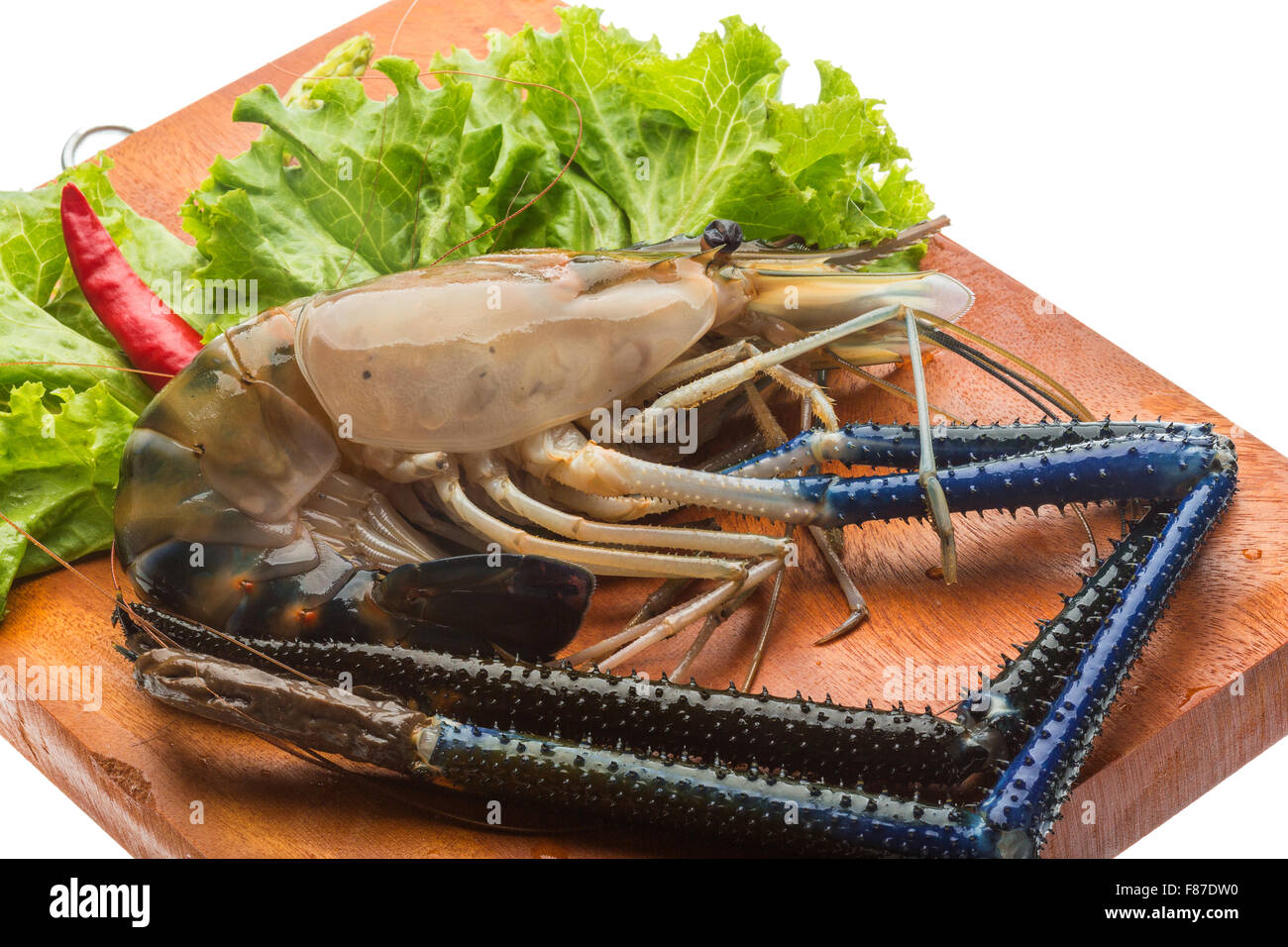 Big Freshwater prawn ready for cooking Stock Photo - Alamy