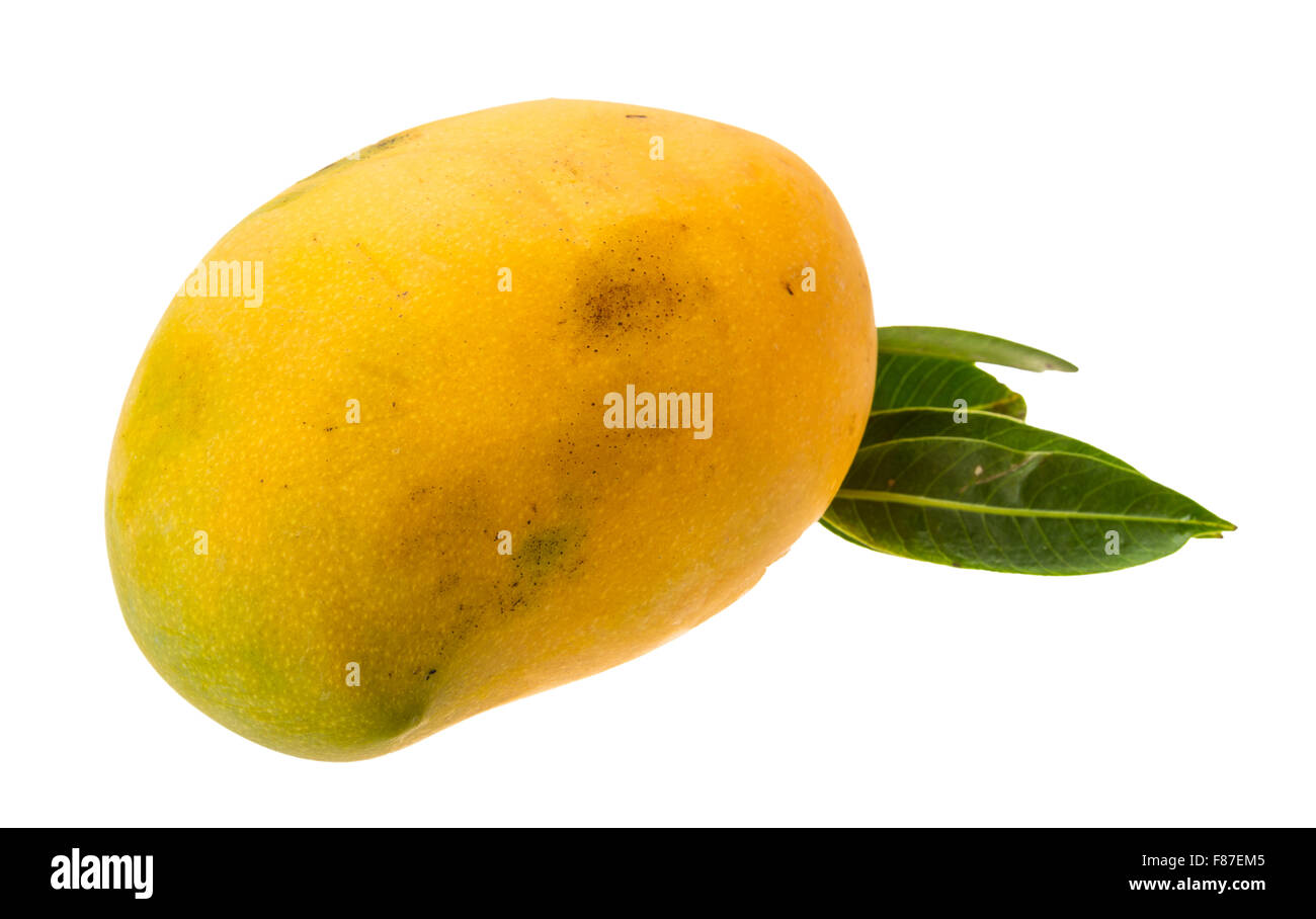 Yellow bright mango isolated on white Stock Photo - Alamy