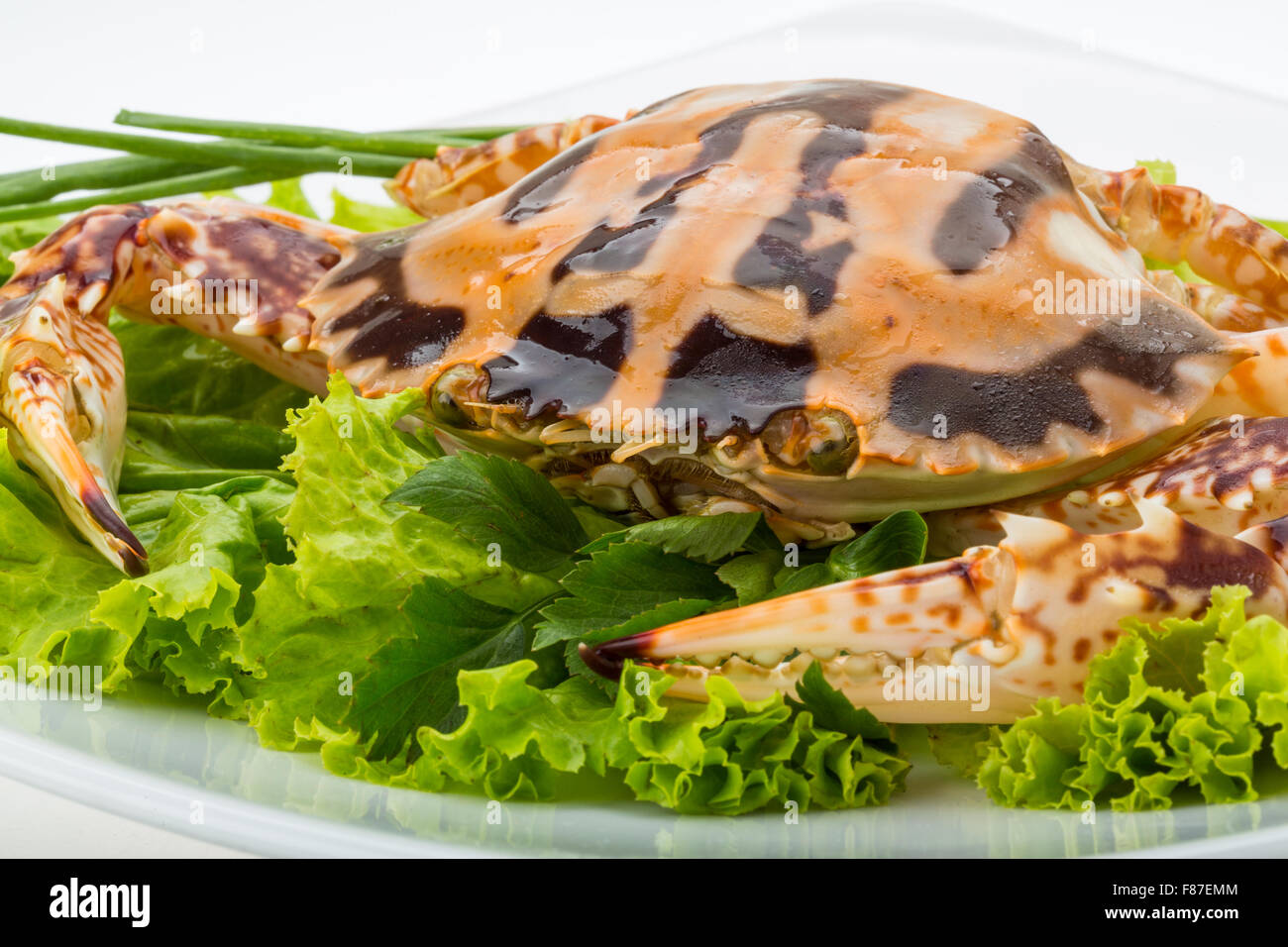 Raw red crab - ready for cooking Stock Photo - Alamy