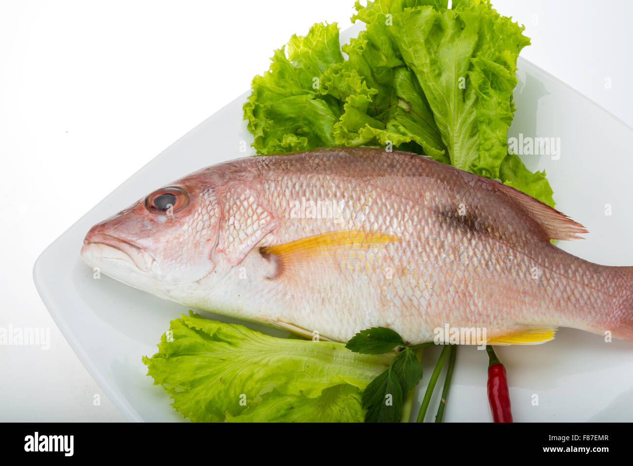 Raw red snapper with salad leaves Stock Photo - Alamy