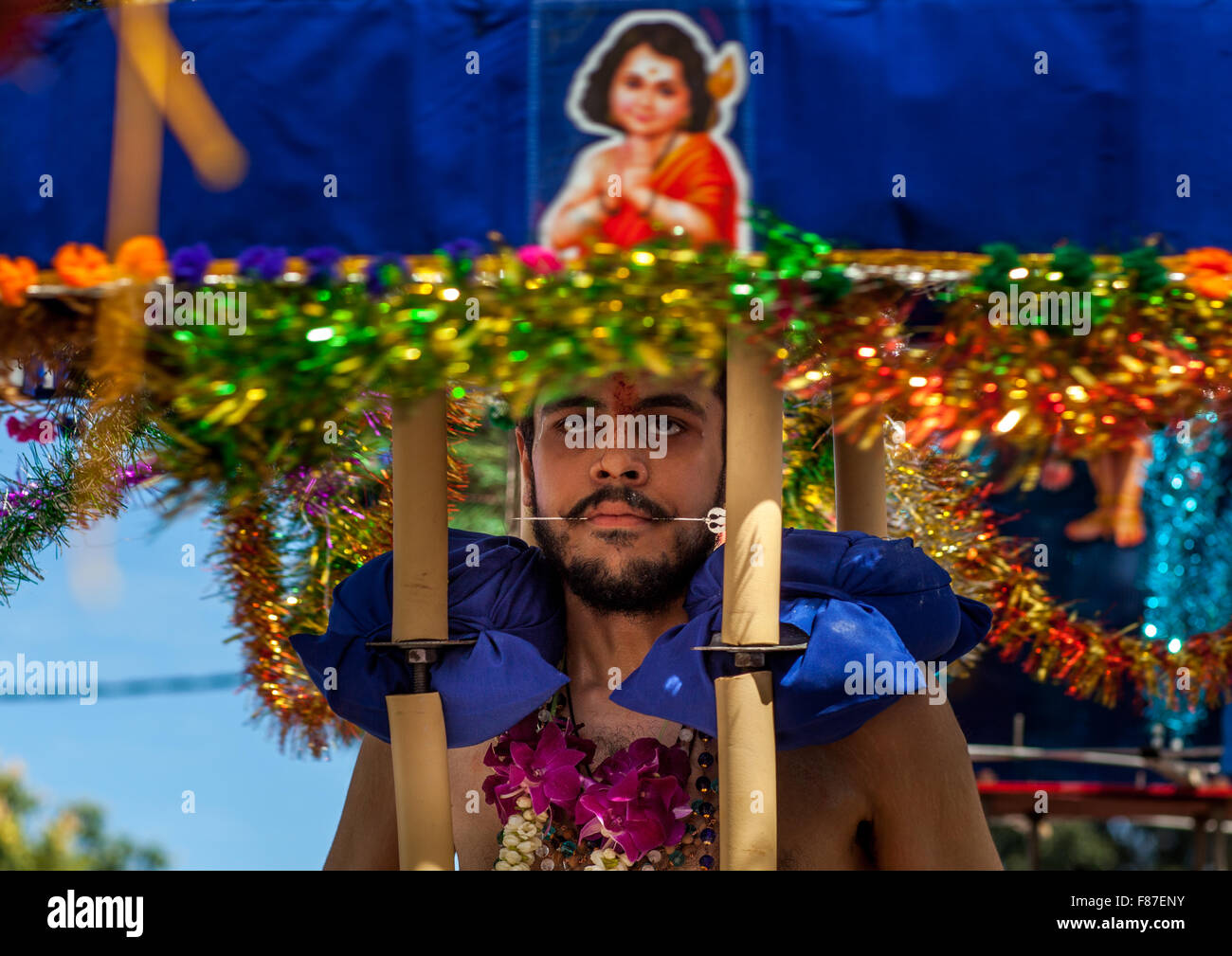 Devotee Kavadi Bearer With Tongue Piercing At Thaipusam Hindu Religious ...