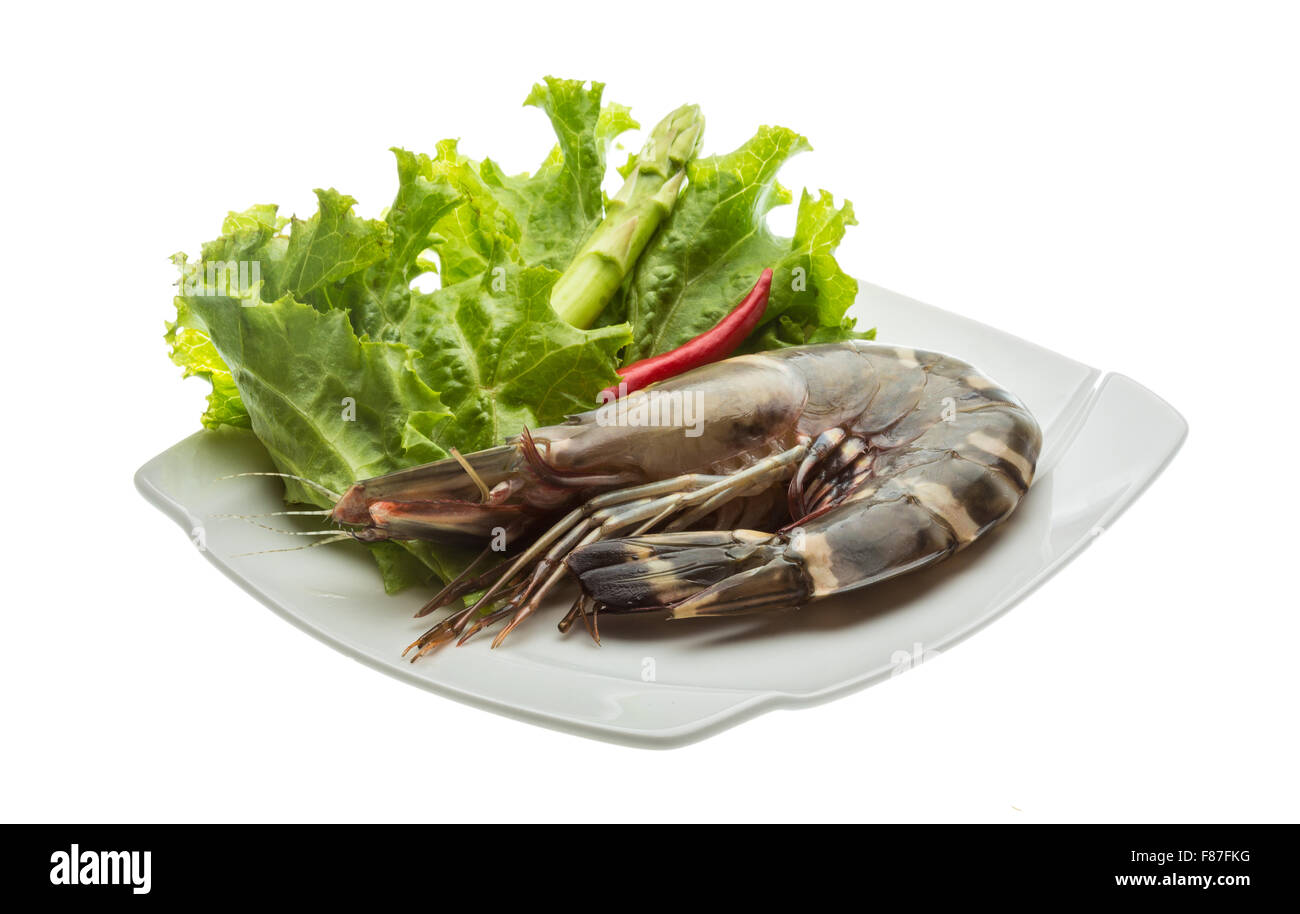 Raw Tiger prawn ready for cooking Stock Photo - Alamy