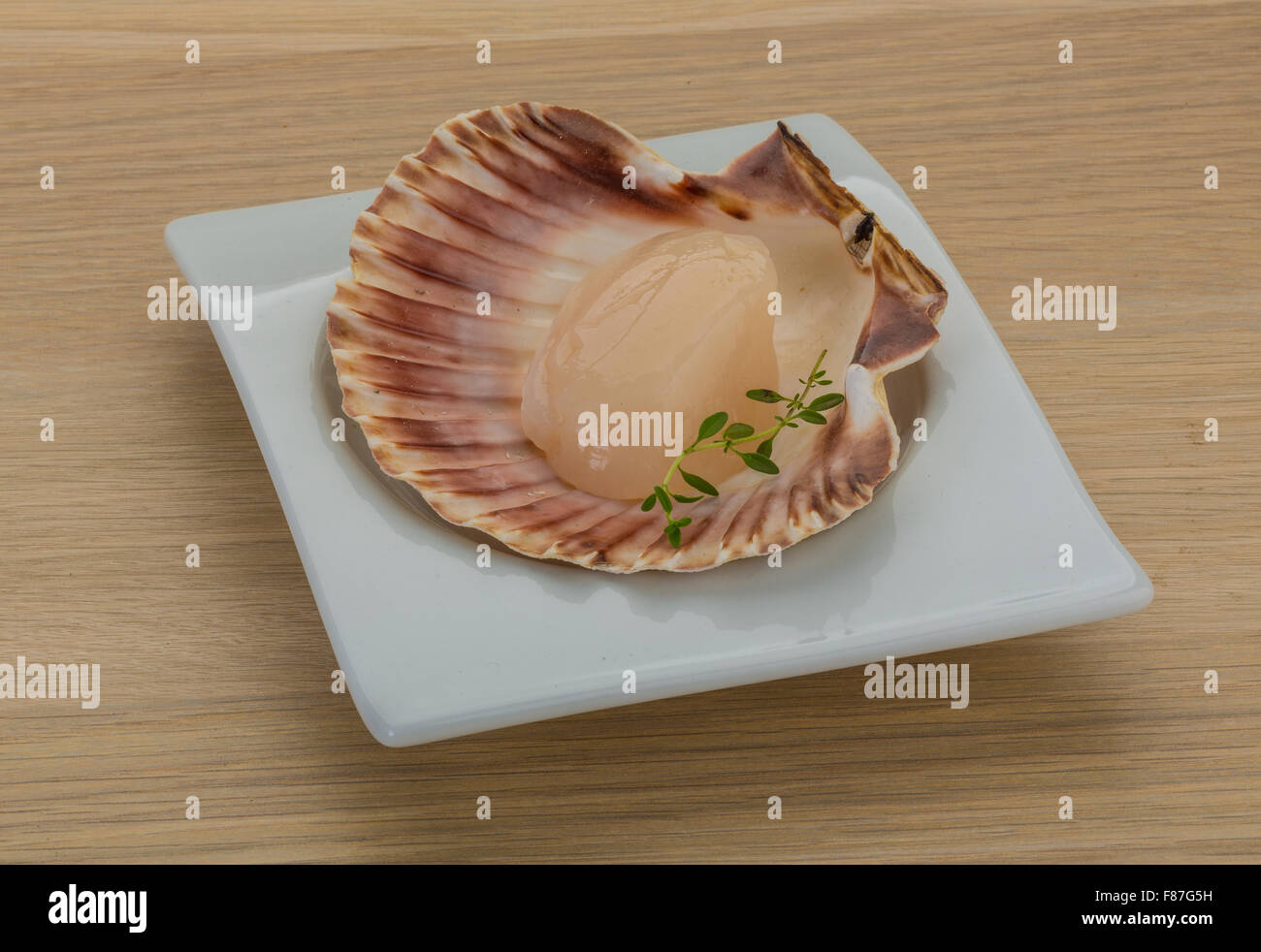 Raw scallops in the shell Stock Photo - Alamy