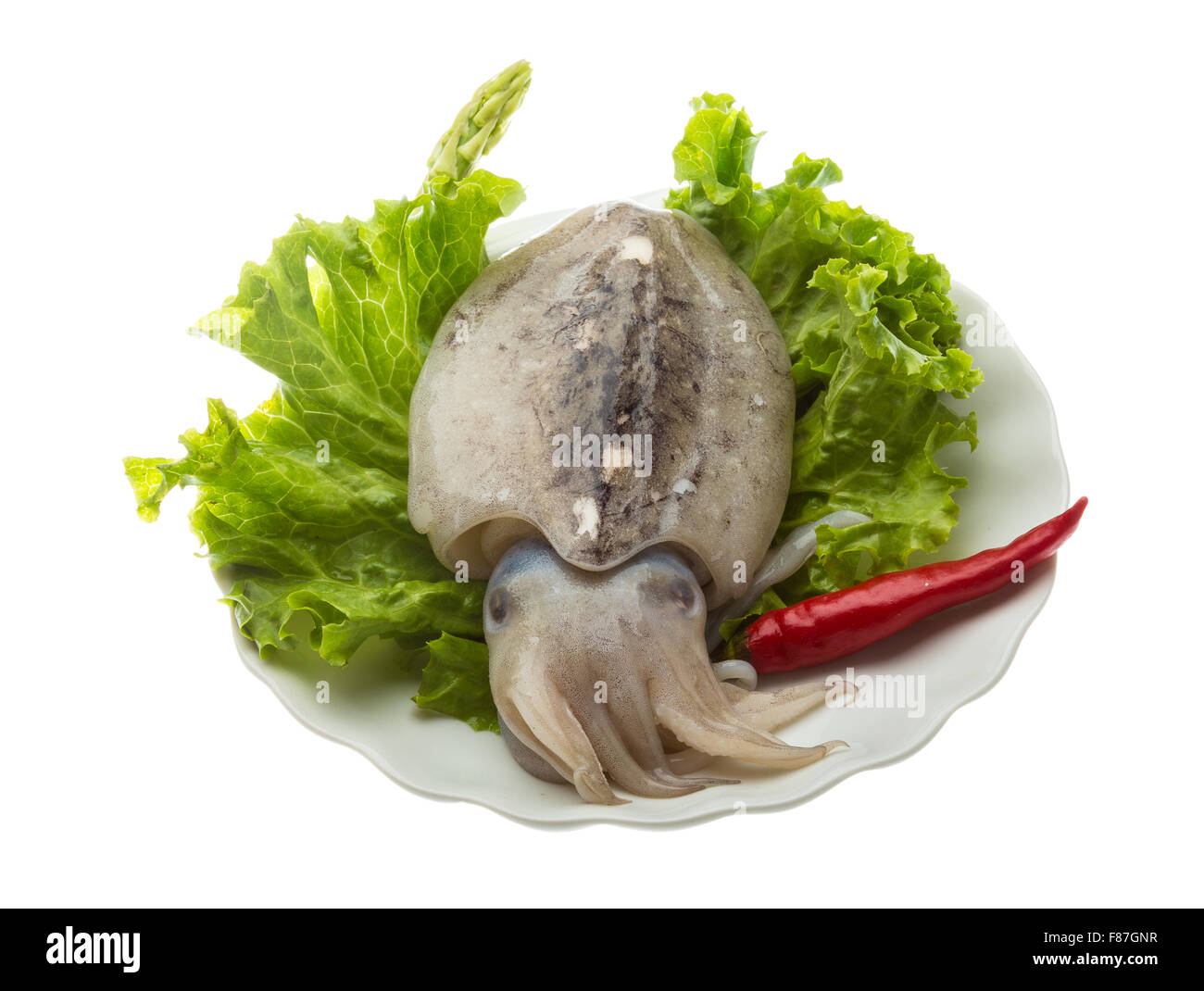 Fresh raw cuttlefish ready hi-res stock photography and images - Alamy