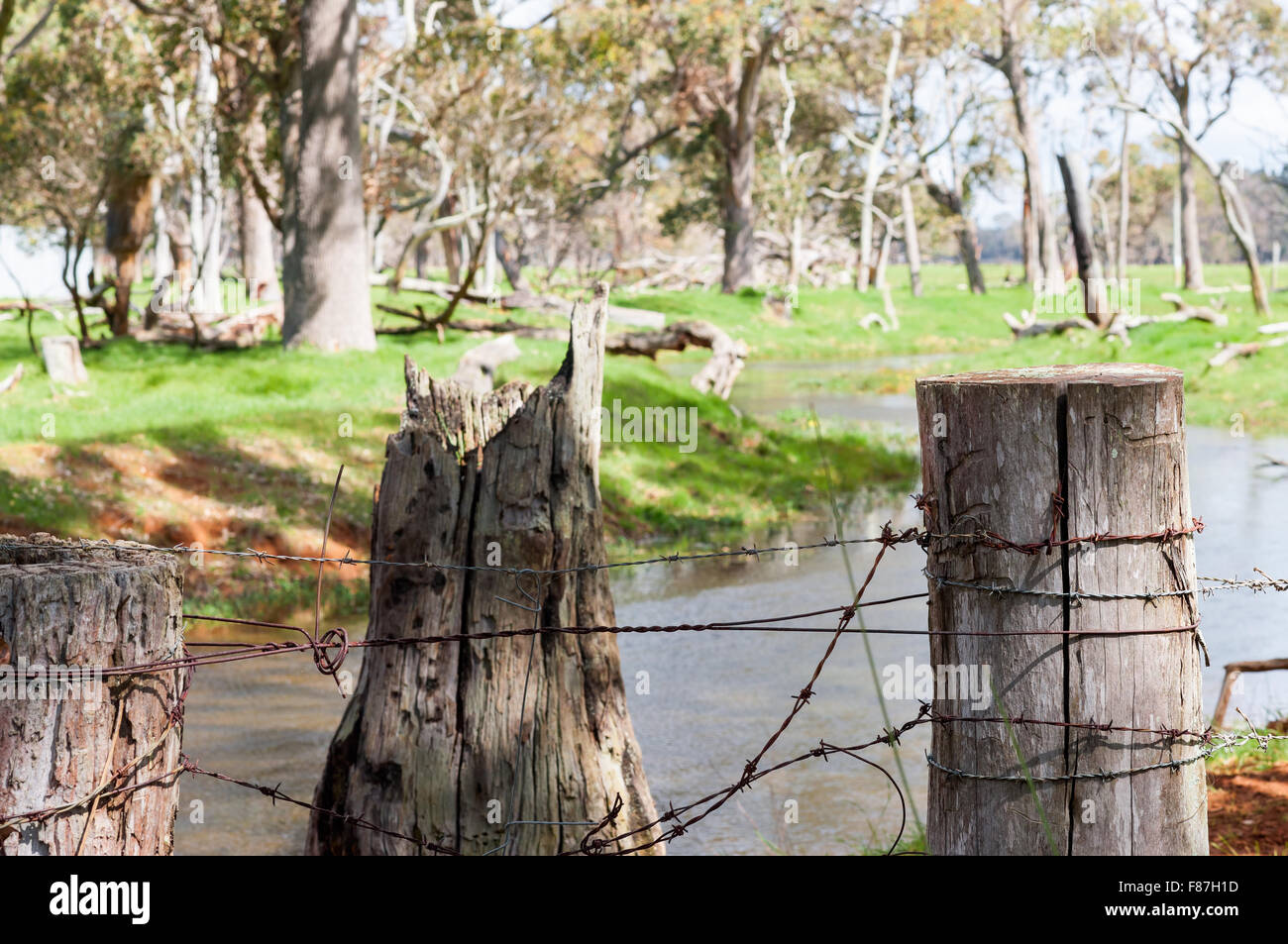 Australian Fencing Rustic Outback Australian Scenes by Water Stock ...