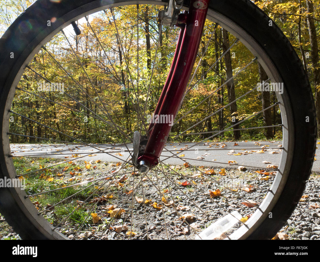 A resting spot along the Ashuwillticook Rail Trail in Adams ...