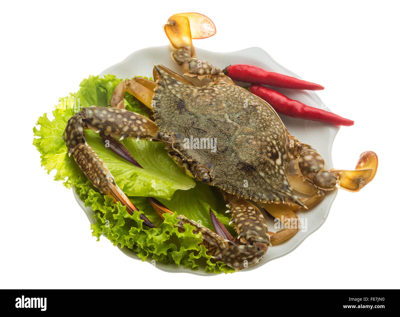 Raw crab ready for cooking Stock Photo - Alamy