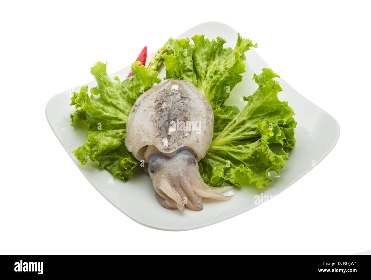Raw cuttlefish ready for cooking Stock Photo - Alamy