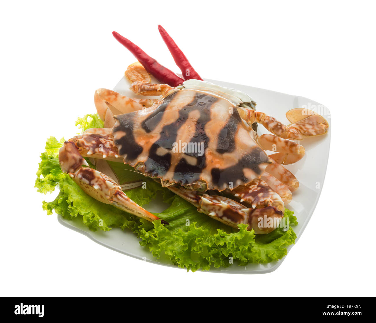 Red crab isolated on white Stock Photo - Alamy