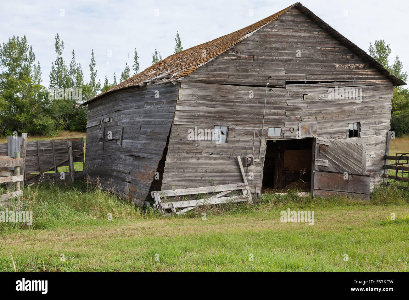 old dilapidated farm barn, a cowshed has a history of sheltering cows ...