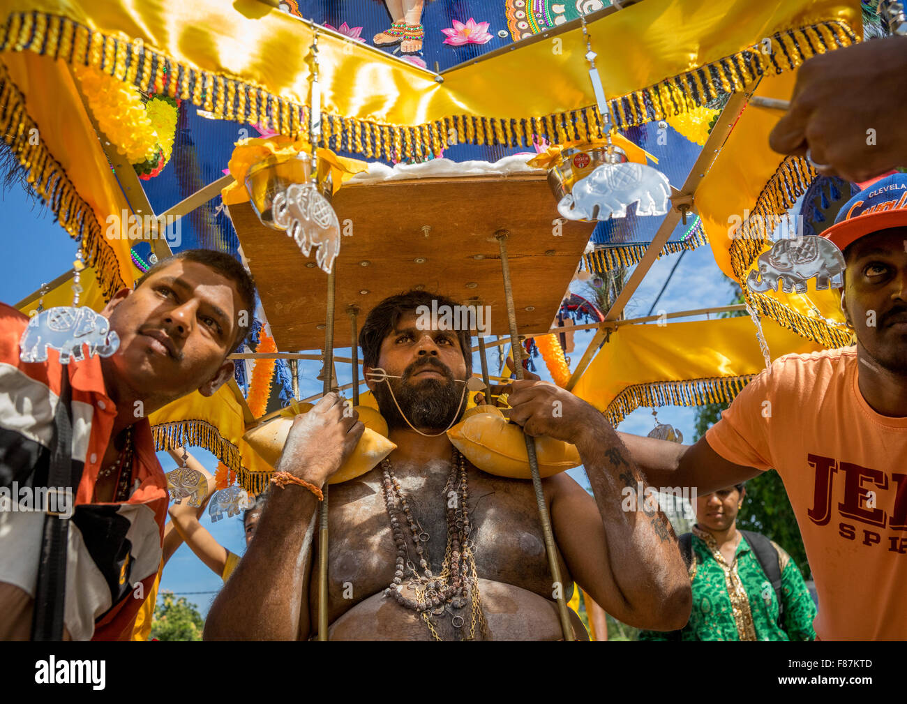 Devotee Kavadi Bearer With Tongue Piercing At Thaipusam Hindu Religious ...