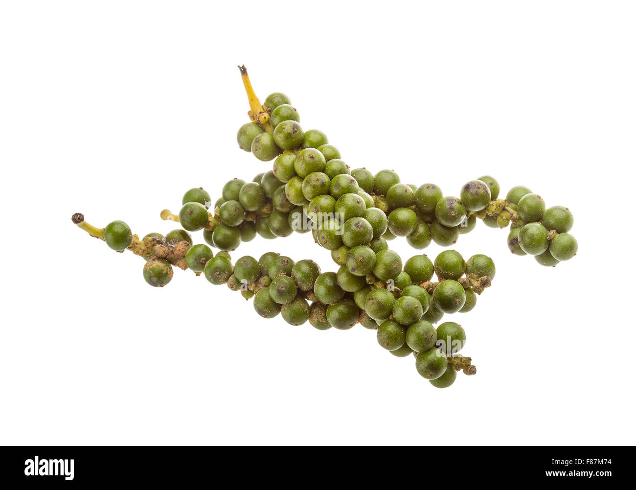Most expensive campot pepper isolated Stock Photo - Alamy