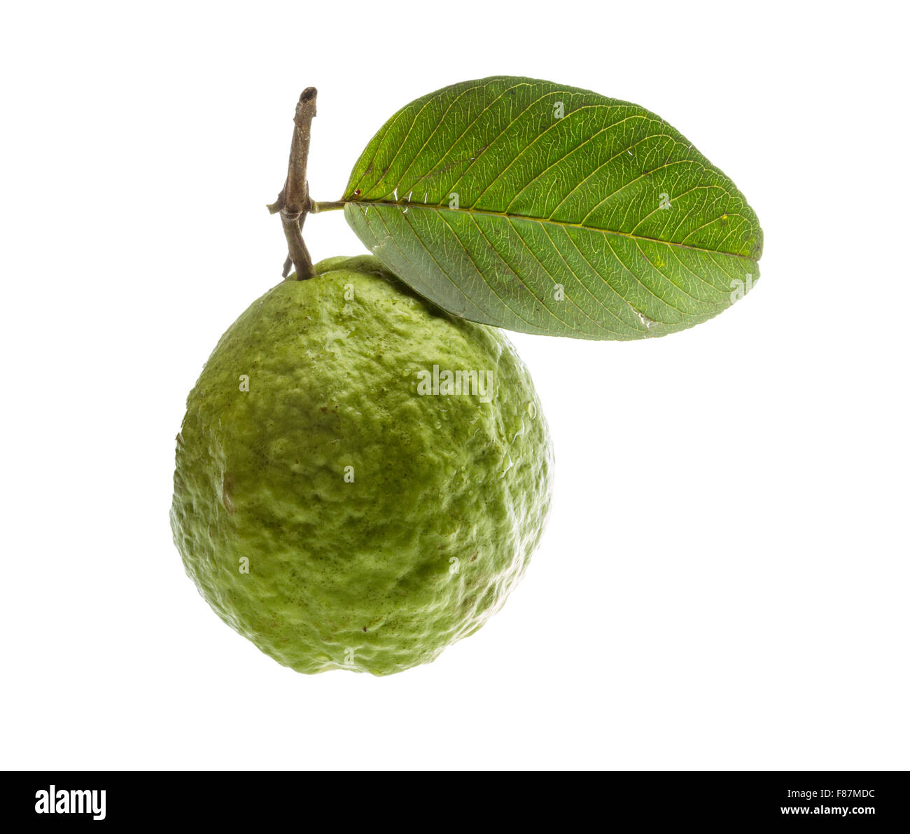 Fresh ripe green guava isolated Stock Photo - Alamy