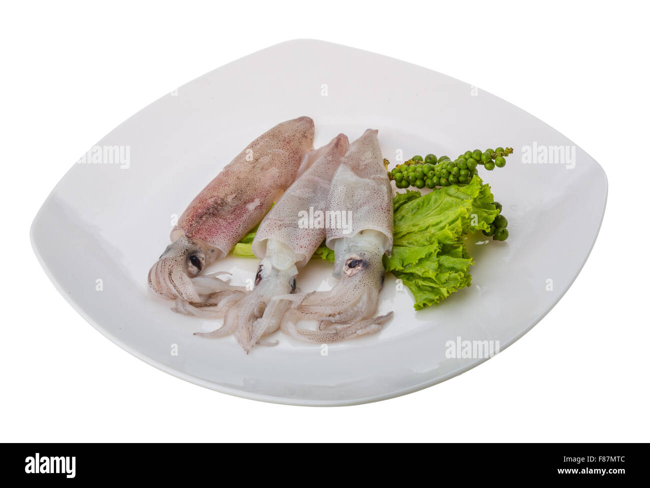 Raw calamari isolated on white background Stock Photo - Alamy