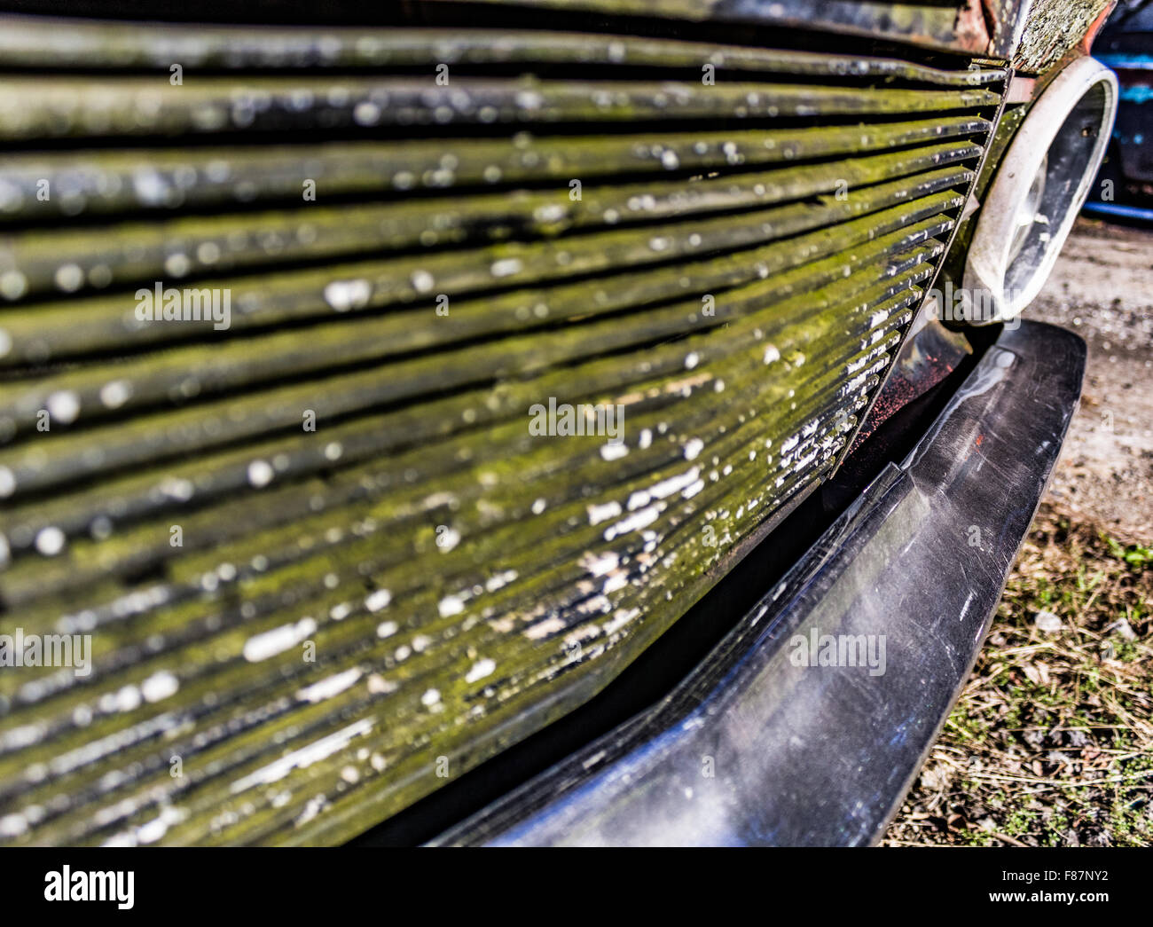 Old, junk cars in the woods Stock Photo - Alamy