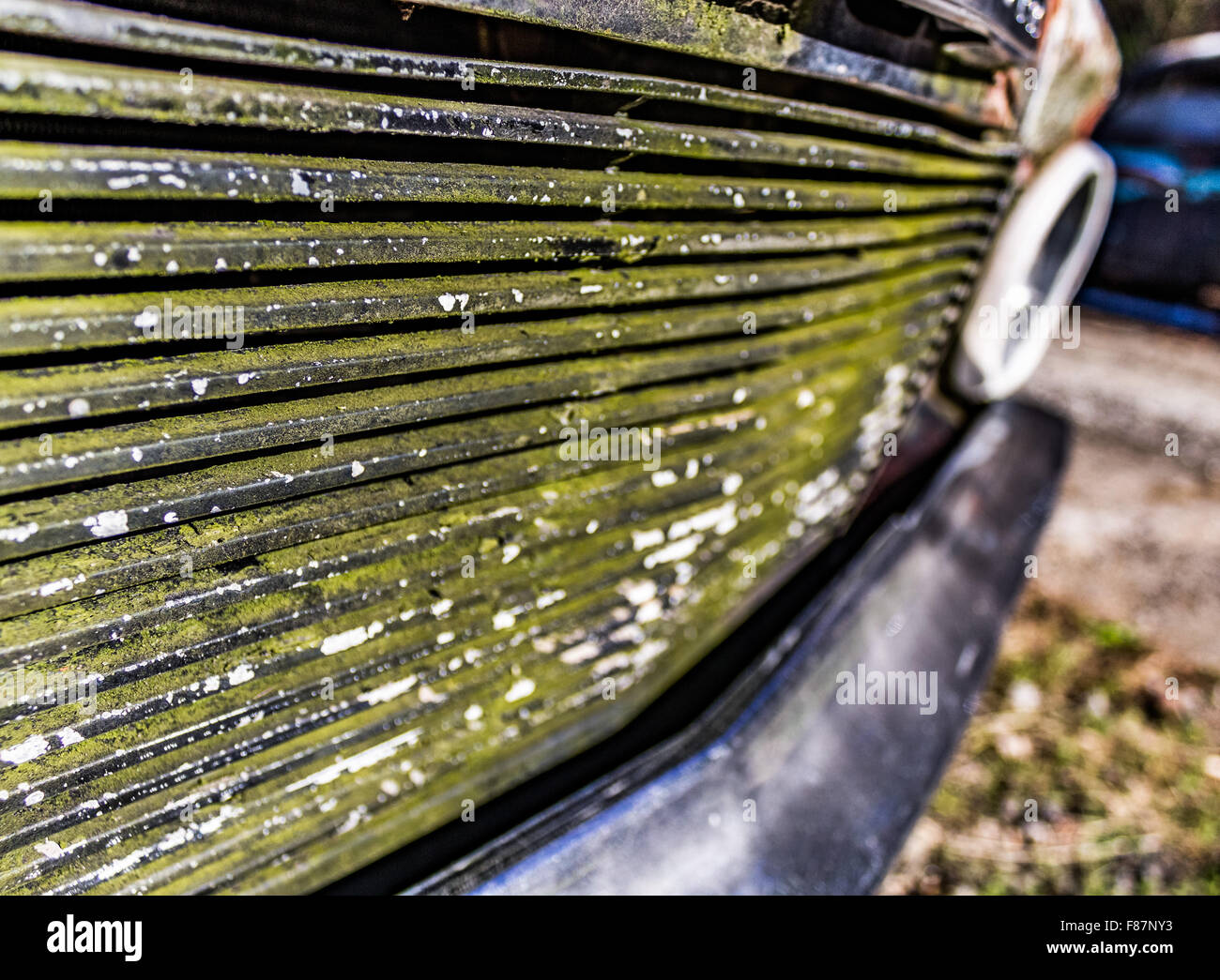 Old, junk cars in the woods Stock Photo - Alamy