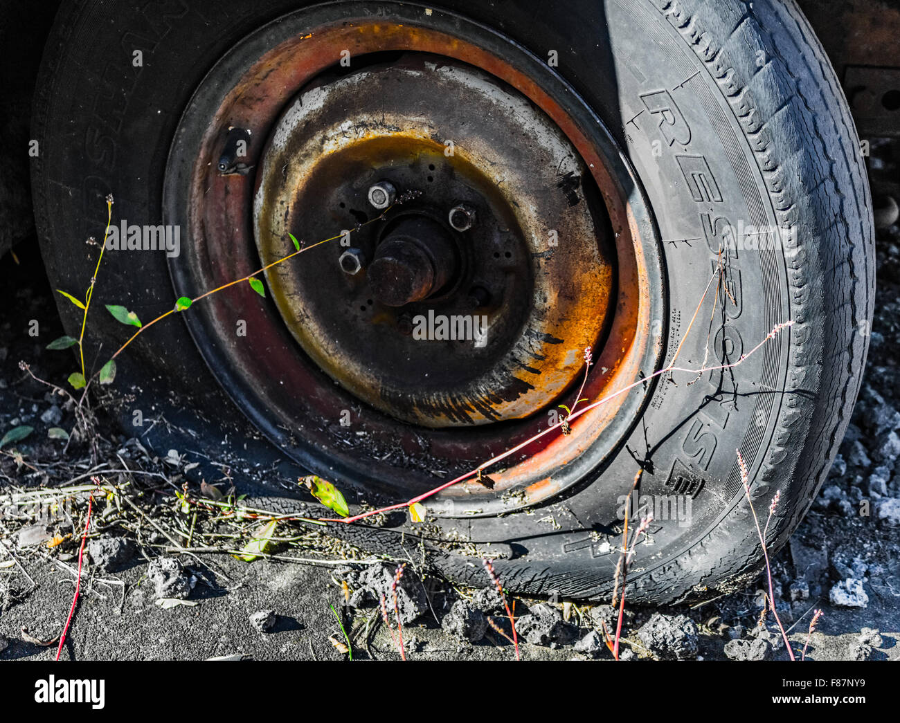 Old, junk cars in the woods Stock Photo - Alamy