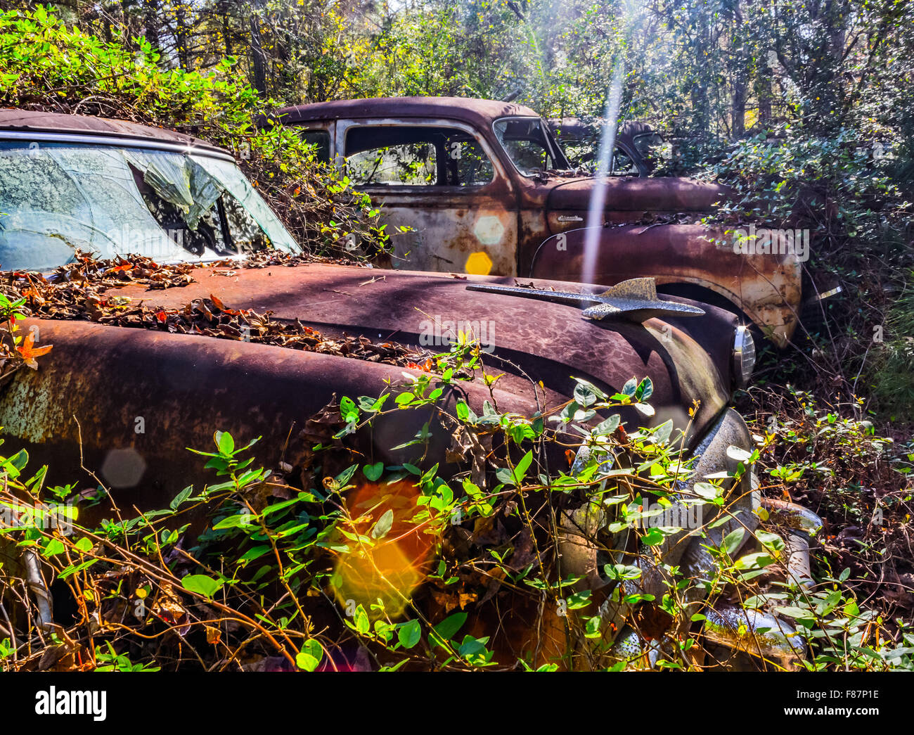 Old junk cars in hi-res stock photography and images - Alamy