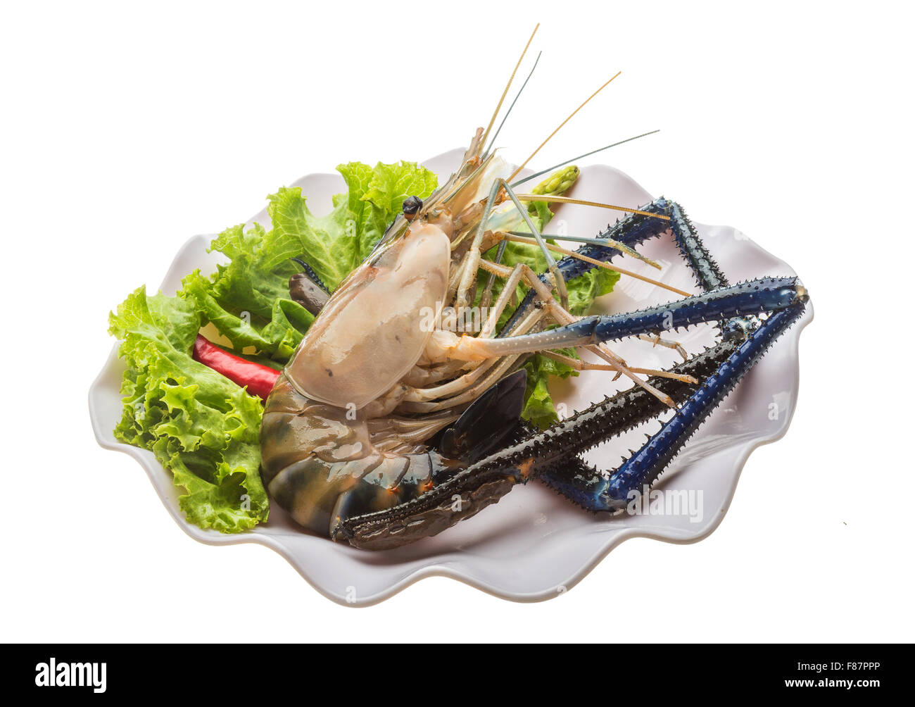 Big Freshwater prawn ready for cooking Stock Photo - Alamy