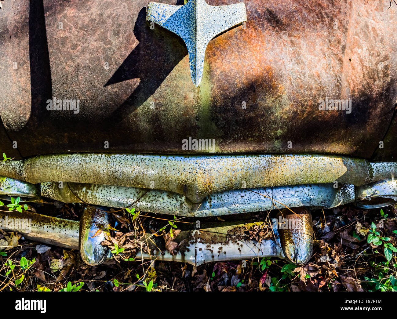 Old, junk cars in the woods Stock Photo - Alamy