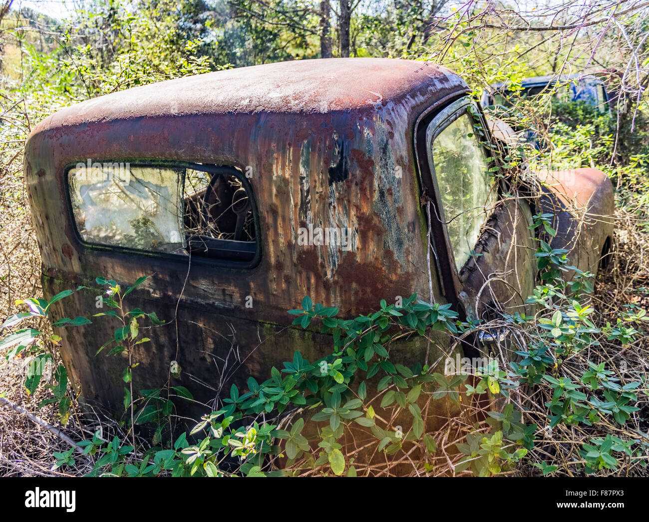 Old, junk cars in the woods Stock Photo - Alamy