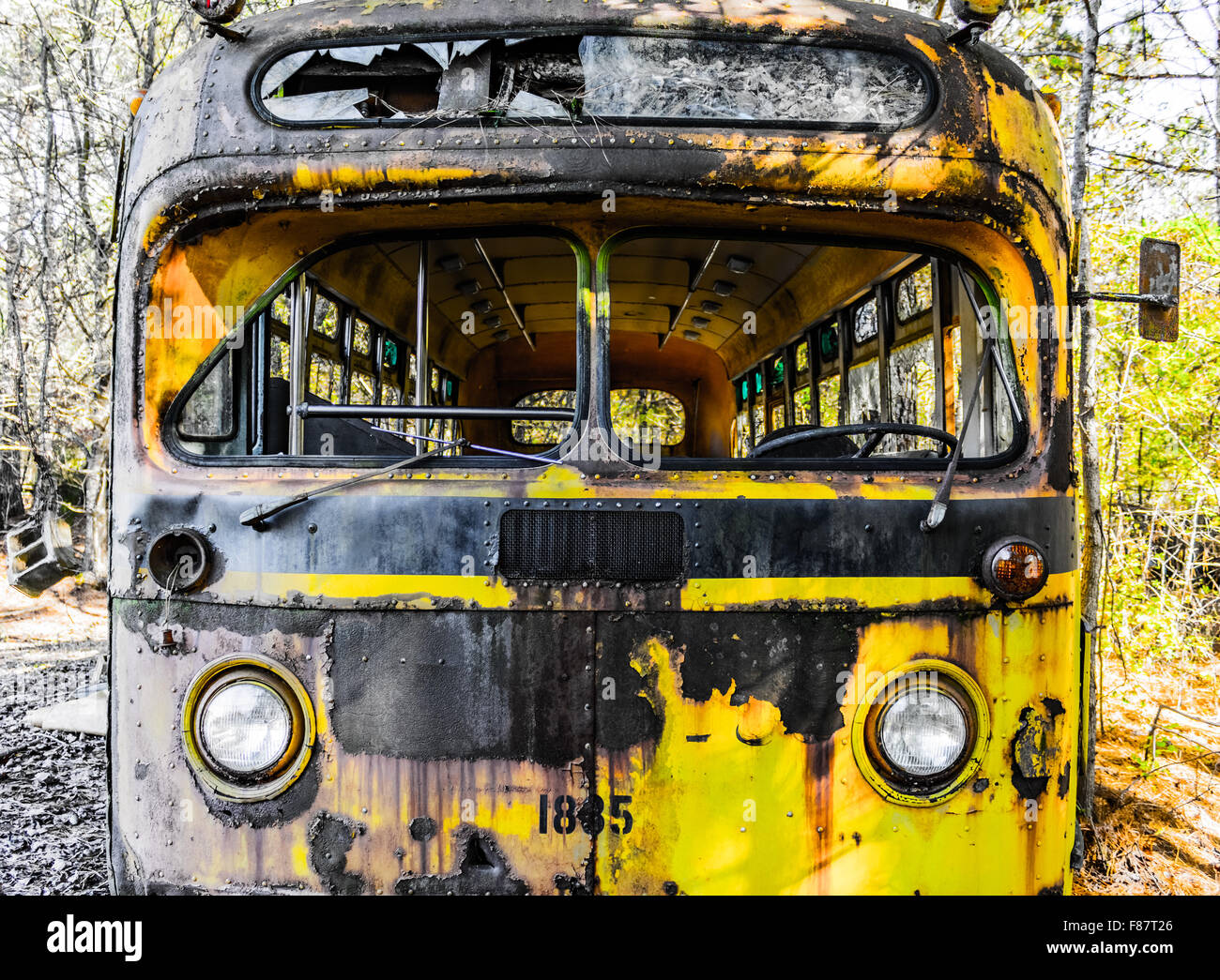 Old, junk cars in the woods Stock Photo - Alamy