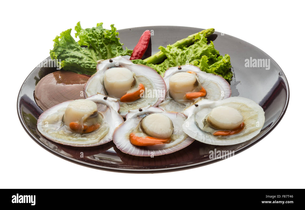 Raw fresh scallop ready for cooking Stock Photo - Alamy